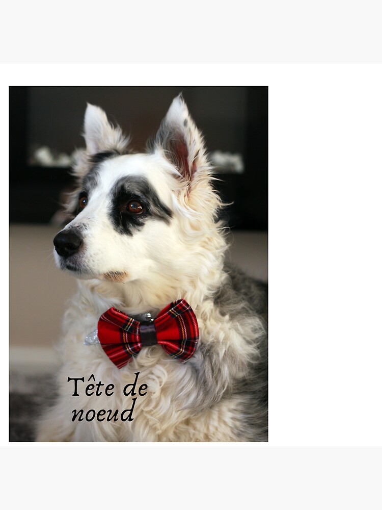 "Knot head" Sticker by Eugenie974 | Redbubble