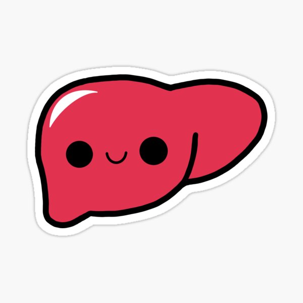 "Liver " Sticker by jordynlove24 | Redbubble