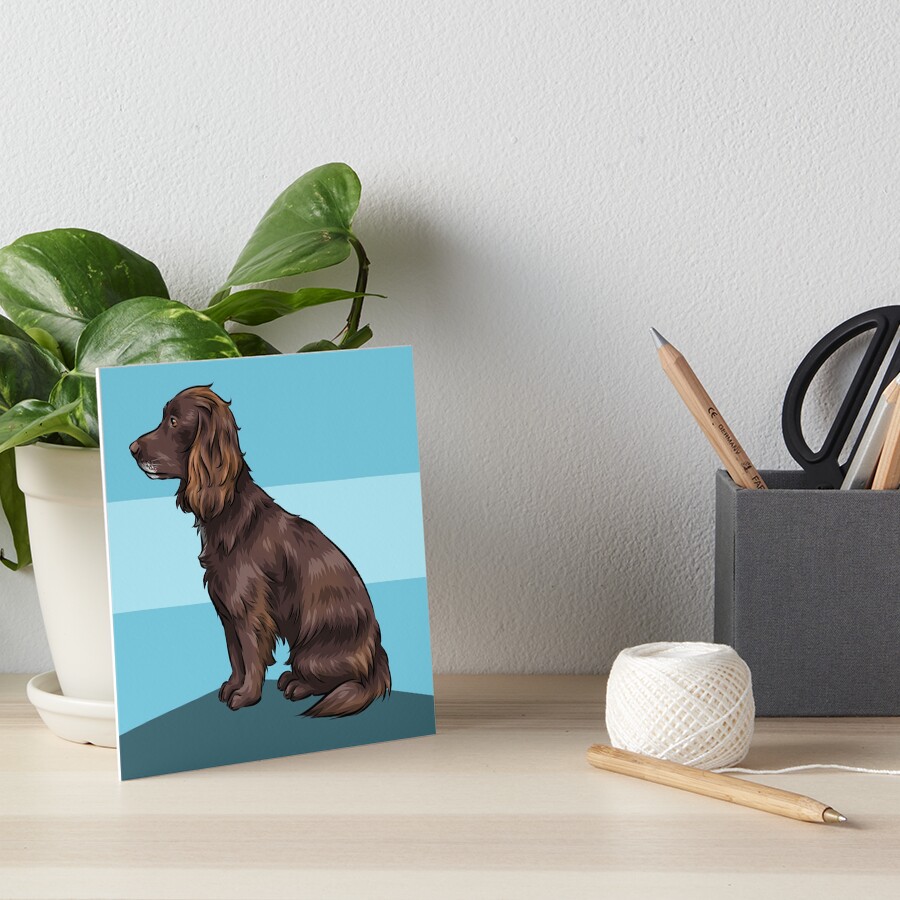 "Sprocker Spaniel | Liver | Blue Background | Cute Dog Art" Art Board ...