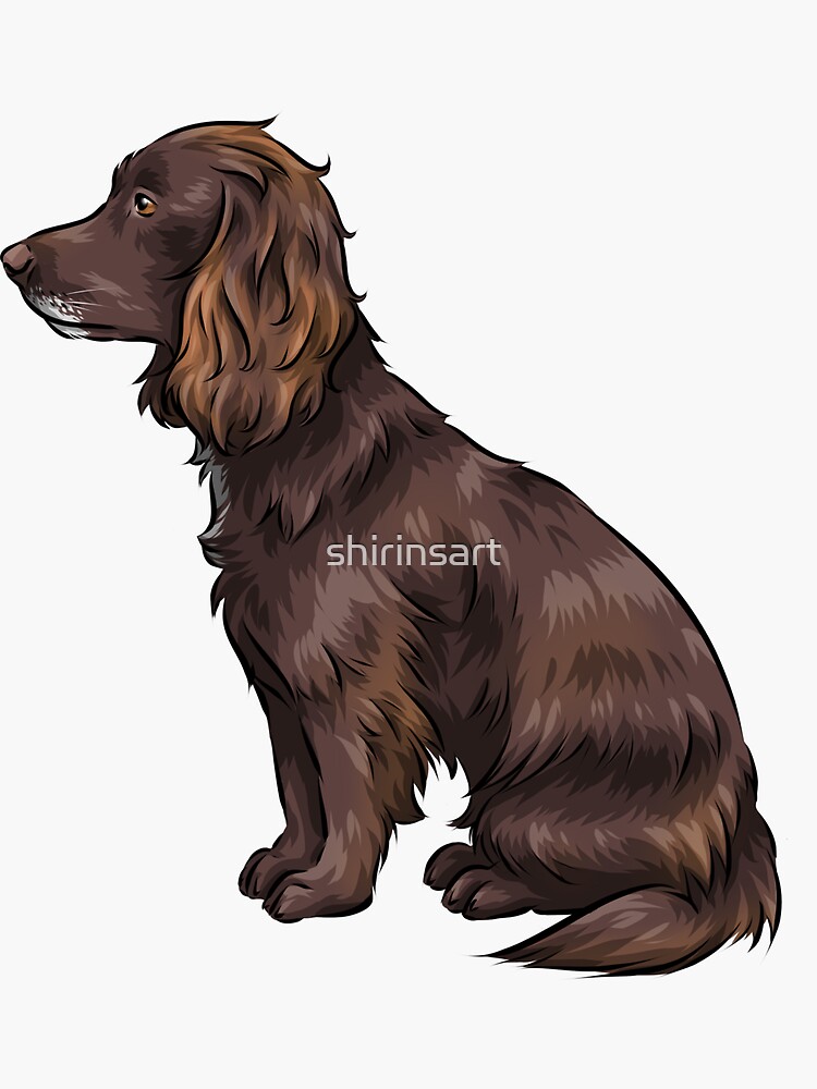 "Sprocker Spaniel | Liver | Cute Dog Art" Sticker for Sale by ...