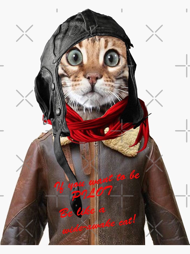 "Cat,If you want to be a Pilot !" Sticker for Sale by Jhon1954 | Redbubble