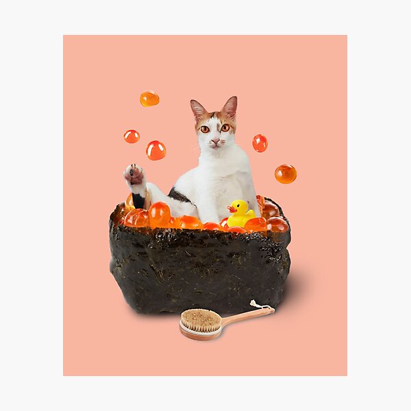 Lámina fotográfica «Gato bañándose en un lujoso caviar de salmón | Gato ...
