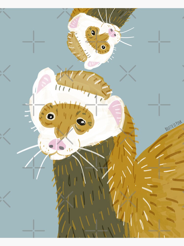 "Happy National Ferret Day #2 Ferret lovers" Sticker for Sale by ...