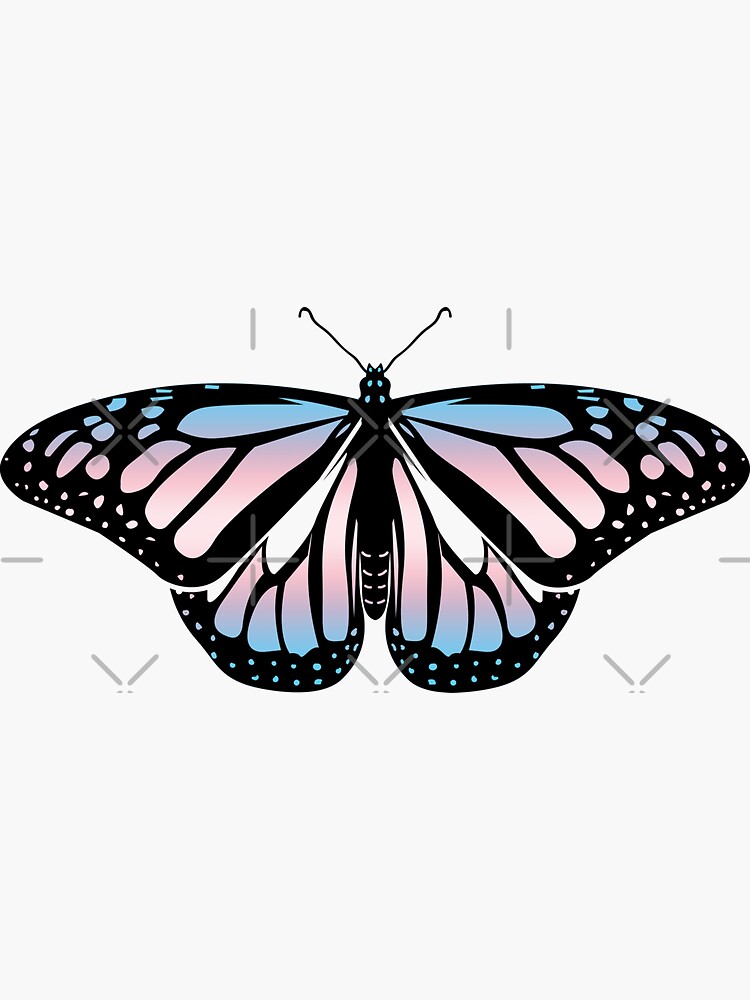 "Trans Pride Butterfly" Sticker for Sale by brenda-lee | Redbubble
