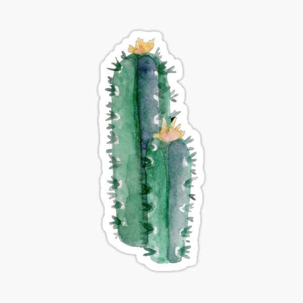 "Cactus Watercolour Aesthetic " Sticker for Sale by zareworks | Redbubble