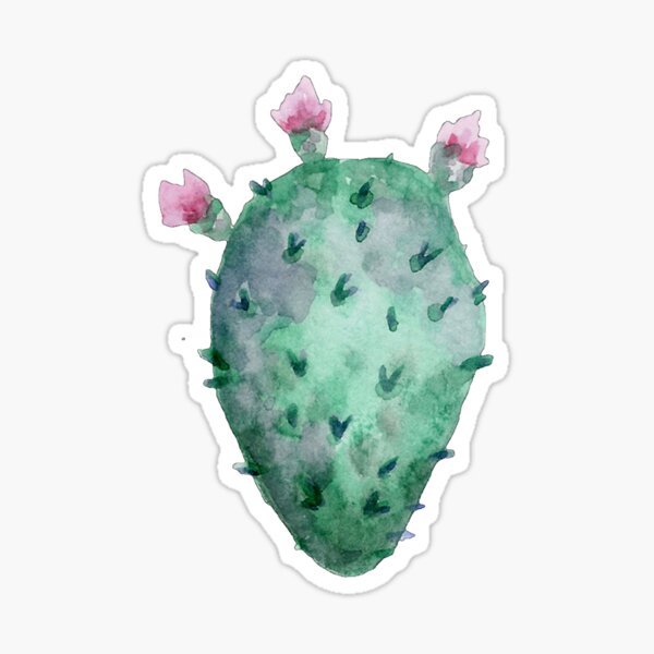"Cactus Watercolour Aesthetic " Sticker by zareworks | Redbubble