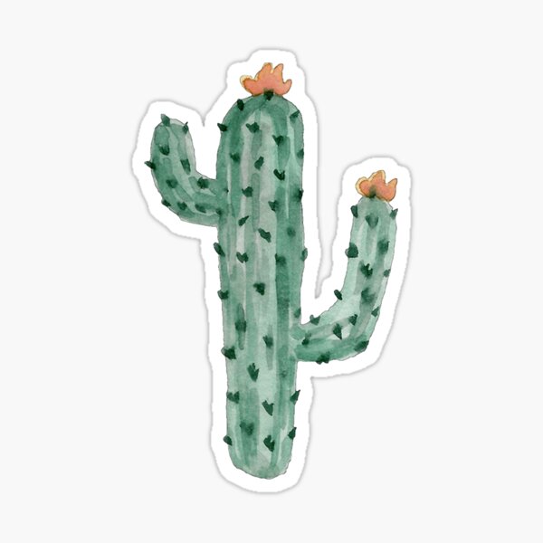"Cactus Watercolour Aesthetic " Sticker by zareworks | Redbubble