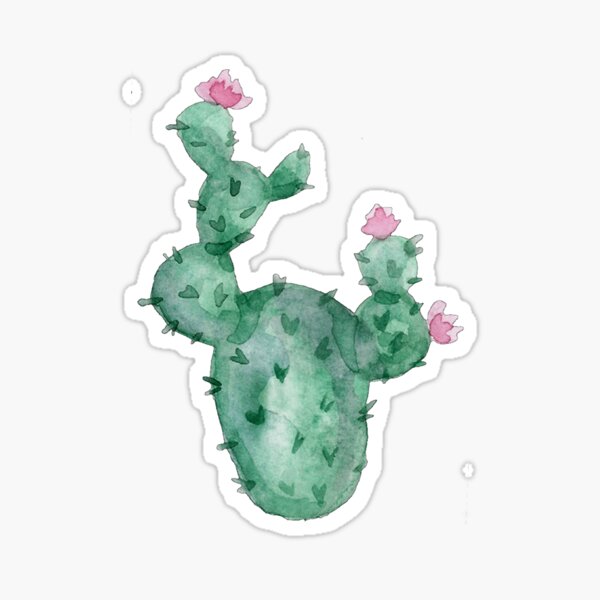 "Cactus Watercolour Aesthetic " Sticker by zareworks | Redbubble