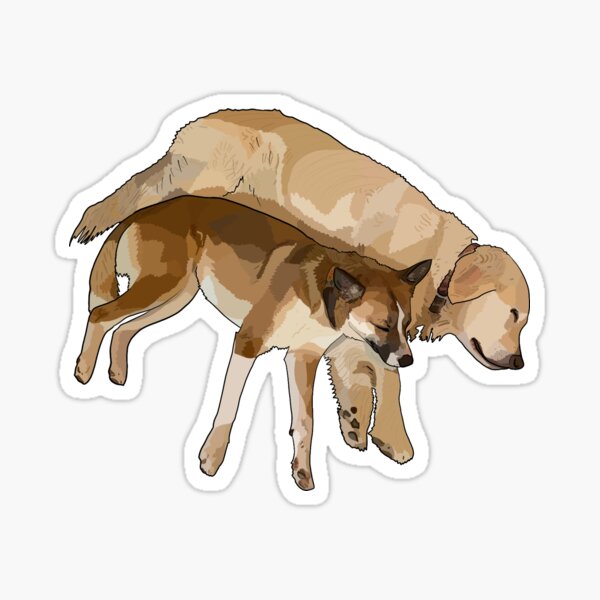"Sleeping dogs" Sticker by oliviasmith437 | Redbubble