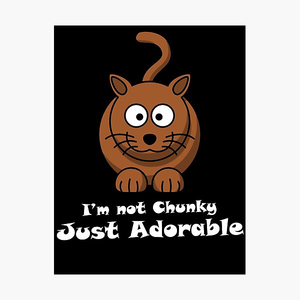 "Cute Chunky Cat Meme" Photographic Print by ZuLa-Store | Redbubble