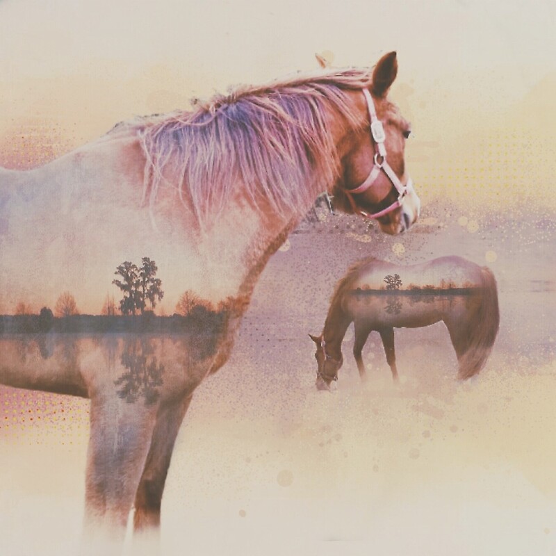 "Painted ponies" by blendingcolors | Redbubble