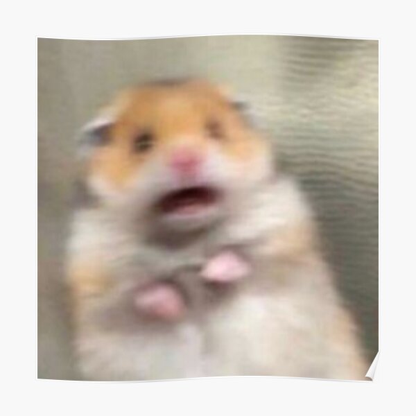 "Meme Hamster" Poster for Sale by CelineIsabel | Redbubble