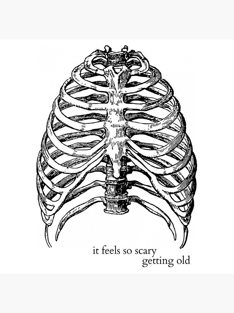 Getting Old (Lorde Ribs) Premium Matte Vertical Poster sold by French ...