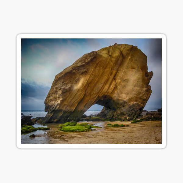 "The Rock" Sticker for Sale by NunoPires | Redbubble