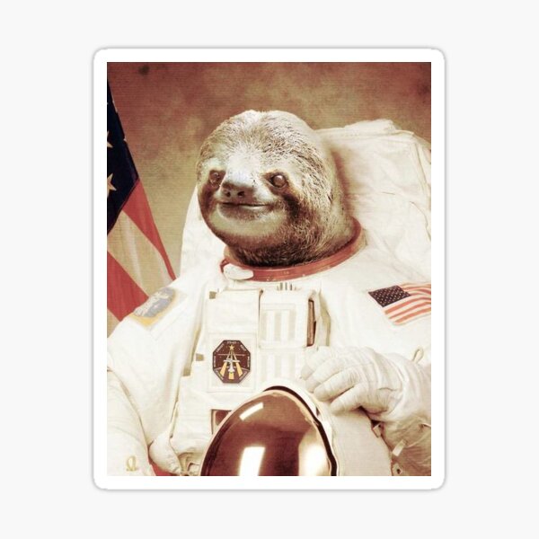 "Astro Sloth" Sticker for Sale by Imaginals | Redbubble