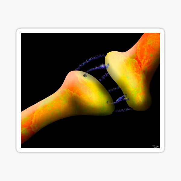 "Cell signaling " Sticker for Sale by Docholiday050 | Redbubble