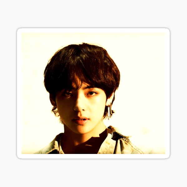 "V II (FAKE LOVE)" Sticker for Sale by BreeLeeG | Redbubble