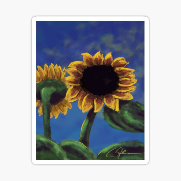 "Front & Back DP151008-14" Sticker for Sale by CSteenArt | Redbubble