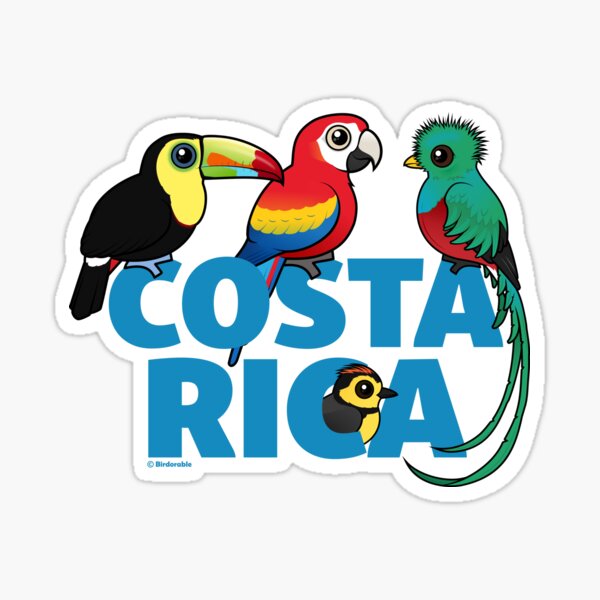 Pegatina « Guacamaya roja» de birdorable | Redbubble