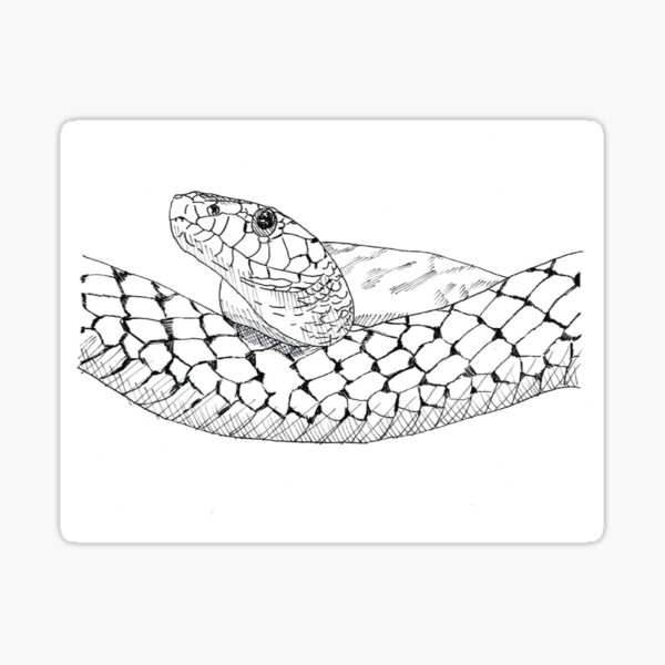 "Venomous Snake Coloring in Colour in Hand Drawn" Sticker for Sale by ...