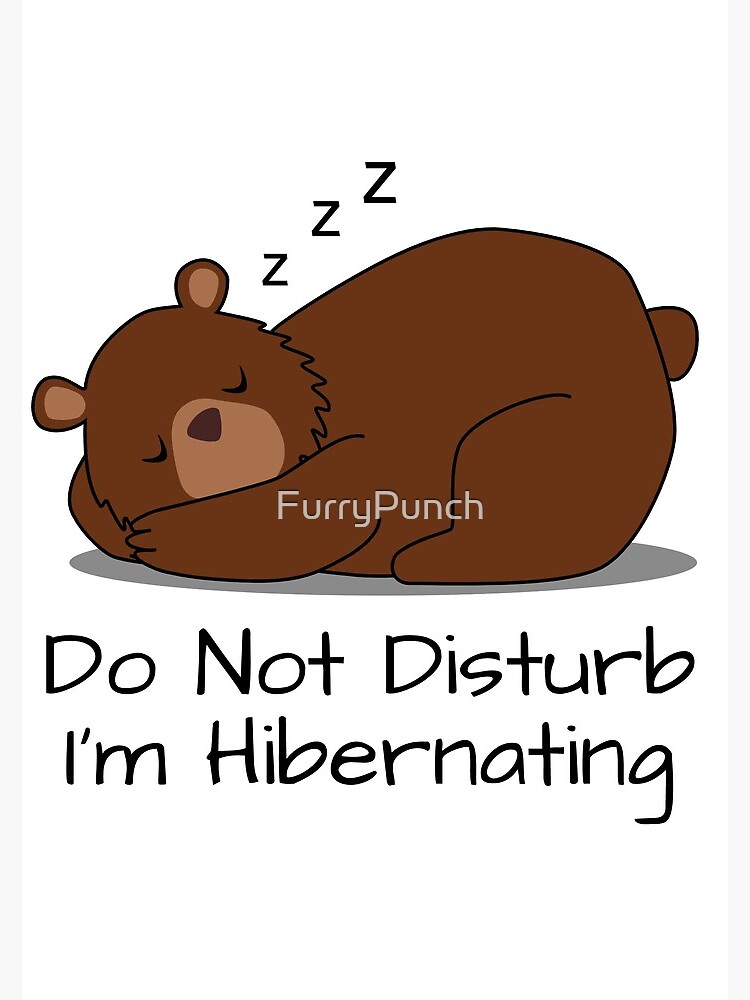 "Do Not Disturb Sleeping Hibernating Cartoon Bear" Canvas Print for ...