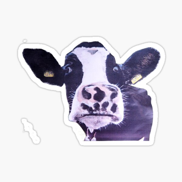 "Cow Elsa Black and White Friesian Milk Cheese Moo Farm Frugal peaceful ...