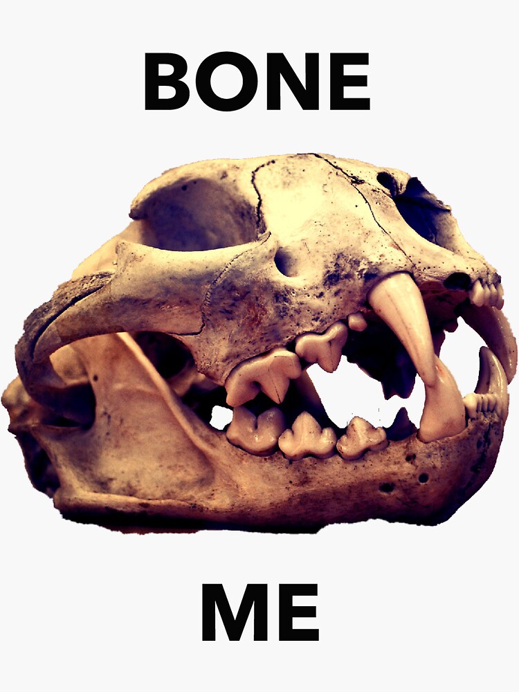 "Bone Me Skull" Sticker for Sale by Edgimals | Redbubble