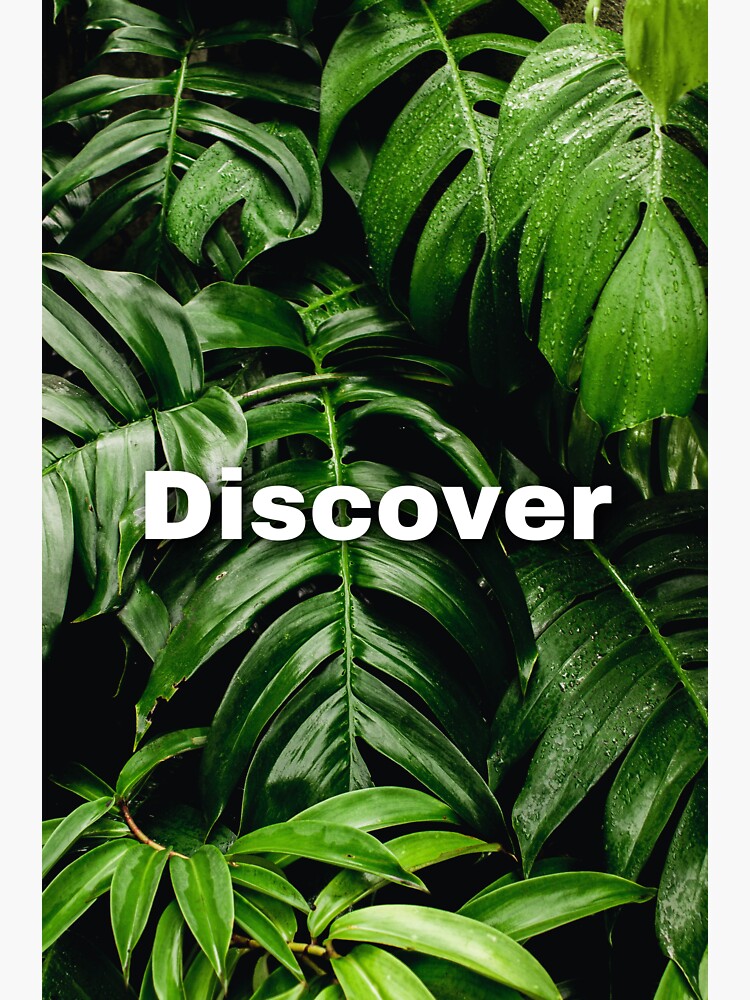 "Discover" Sticker by Rb-insta | Redbubble