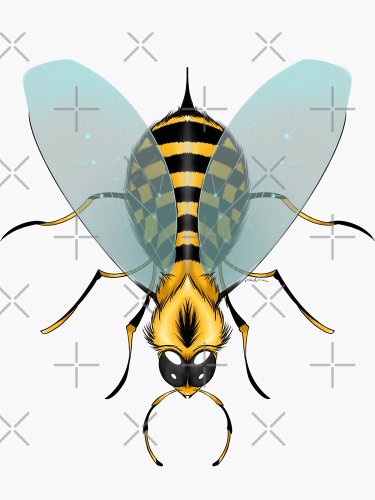 "Symmetry bee" Sticker by solarartdesigns | Redbubble