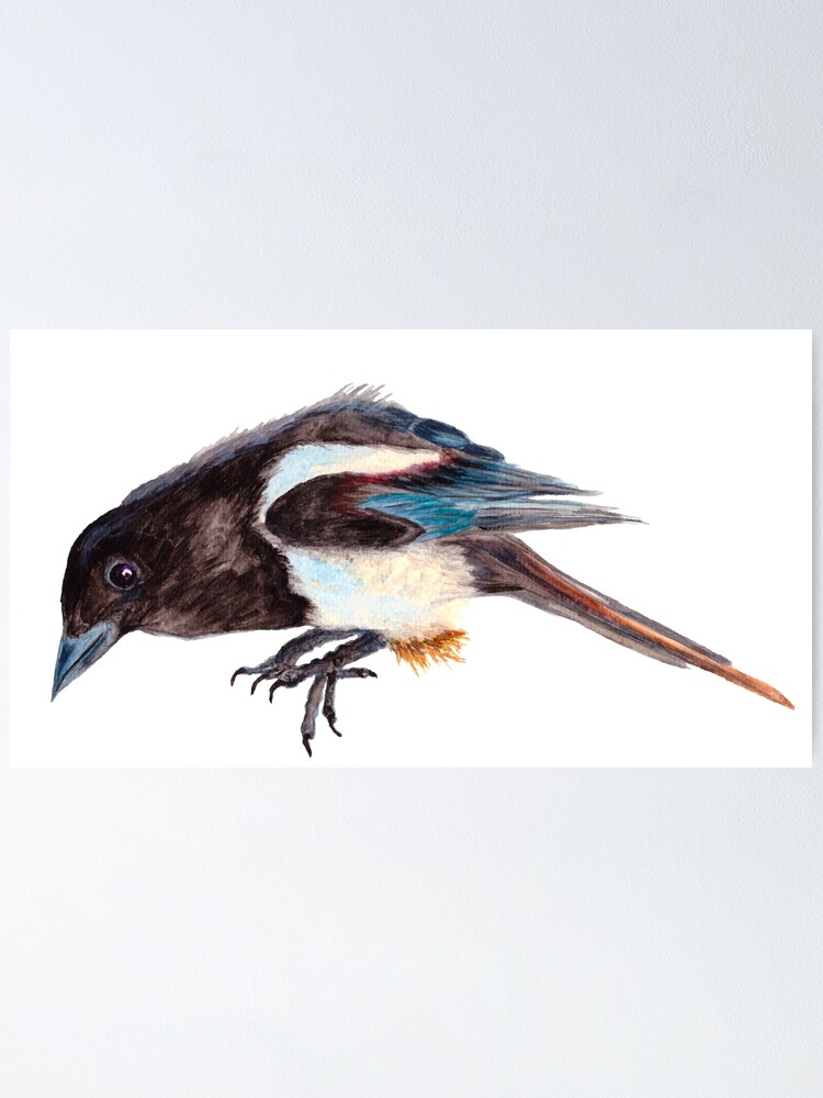 "watercolor realistic magpie bird " Poster for Sale by monikresliart ...