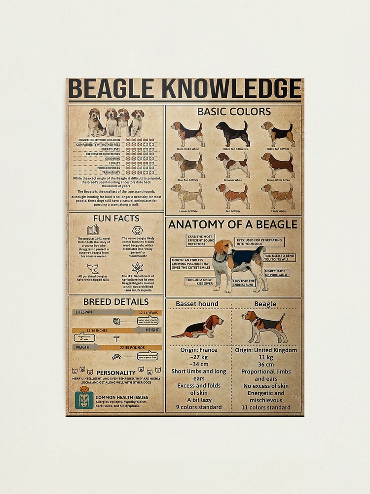 "Beagle Dog Knowledge Poster" Photographic Print for Sale by HubertaNakken | Redbubble