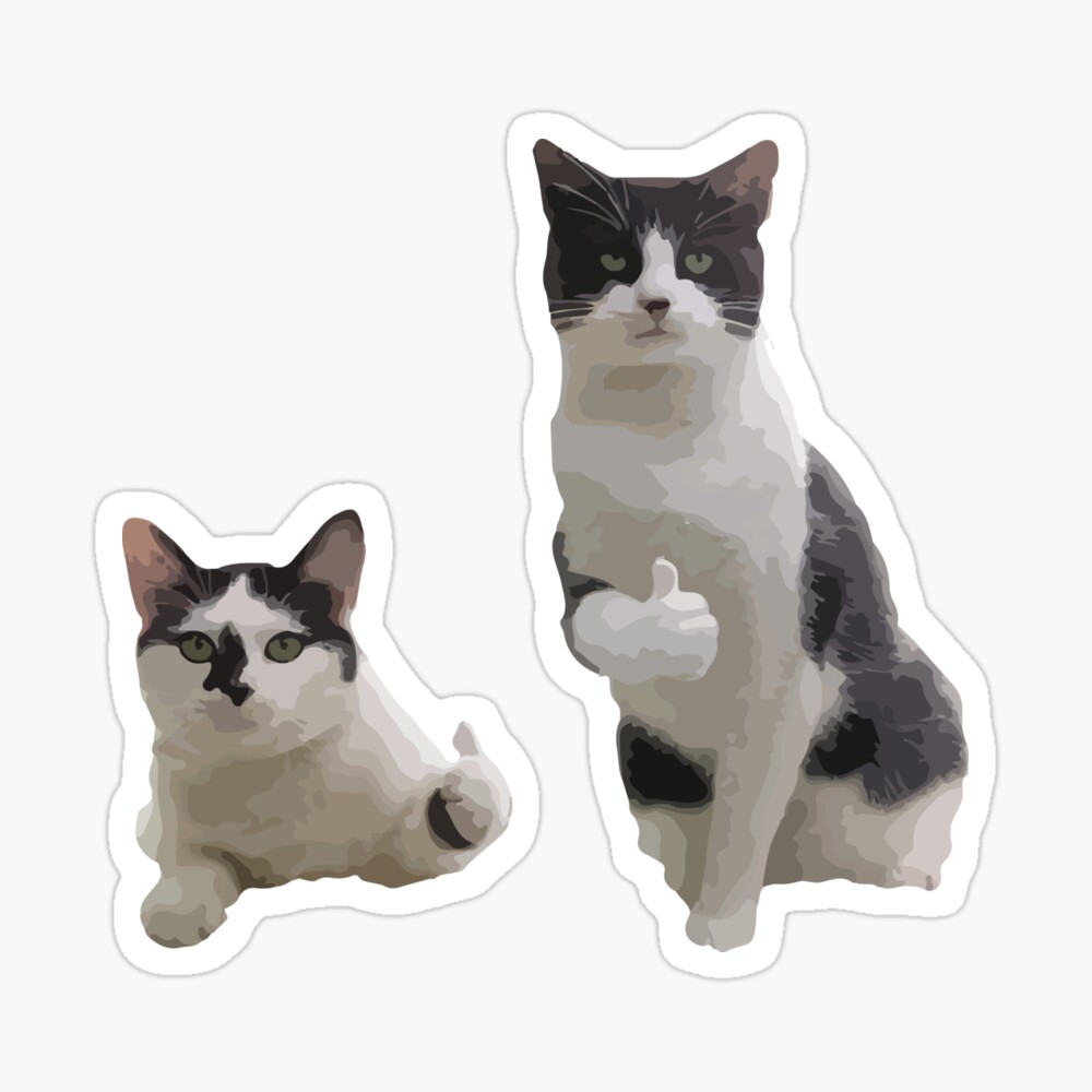 El Gato Cat Tiktok Funny Meme Poster For Sale By GabrielSmithhi ...