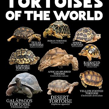 "Tortoises Of The World Turtles Lover Save The Tortoises Gear" Poster for Sale by DynamicDesign ...