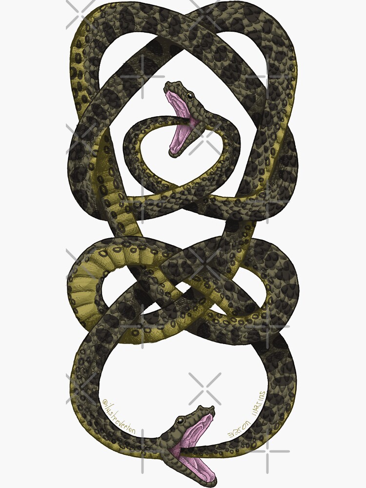 "Cannibal Constrictors" Sticker by ilustreverton | Redbubble