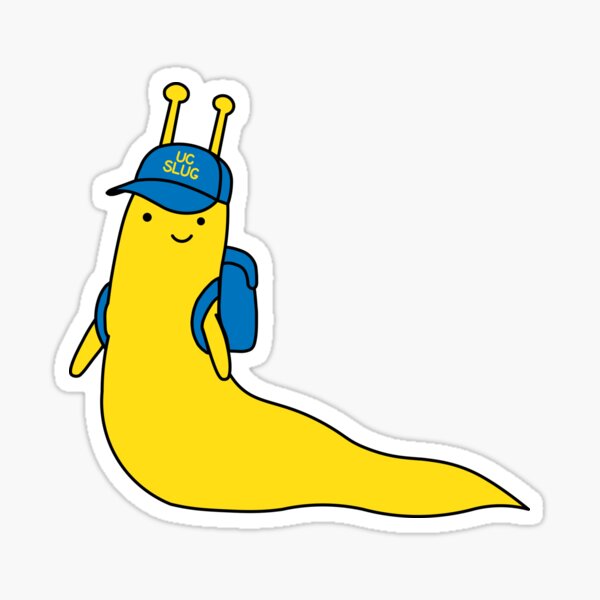 Ucsc Gifts & Merchandise | Redbubble