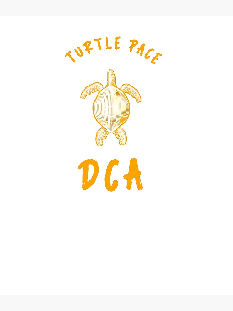 "Turtle pace DCA" Poster for Sale by NODnbus | Redbubble