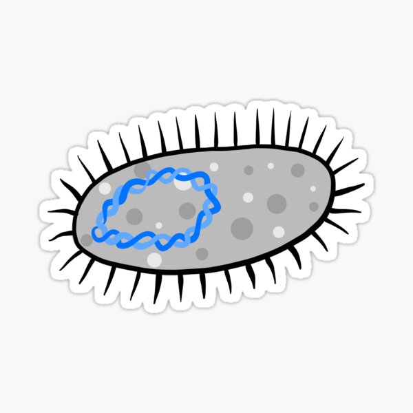 "Cute E coli Bacteria on White" Sticker for Sale by fogoosherie | Redbubble