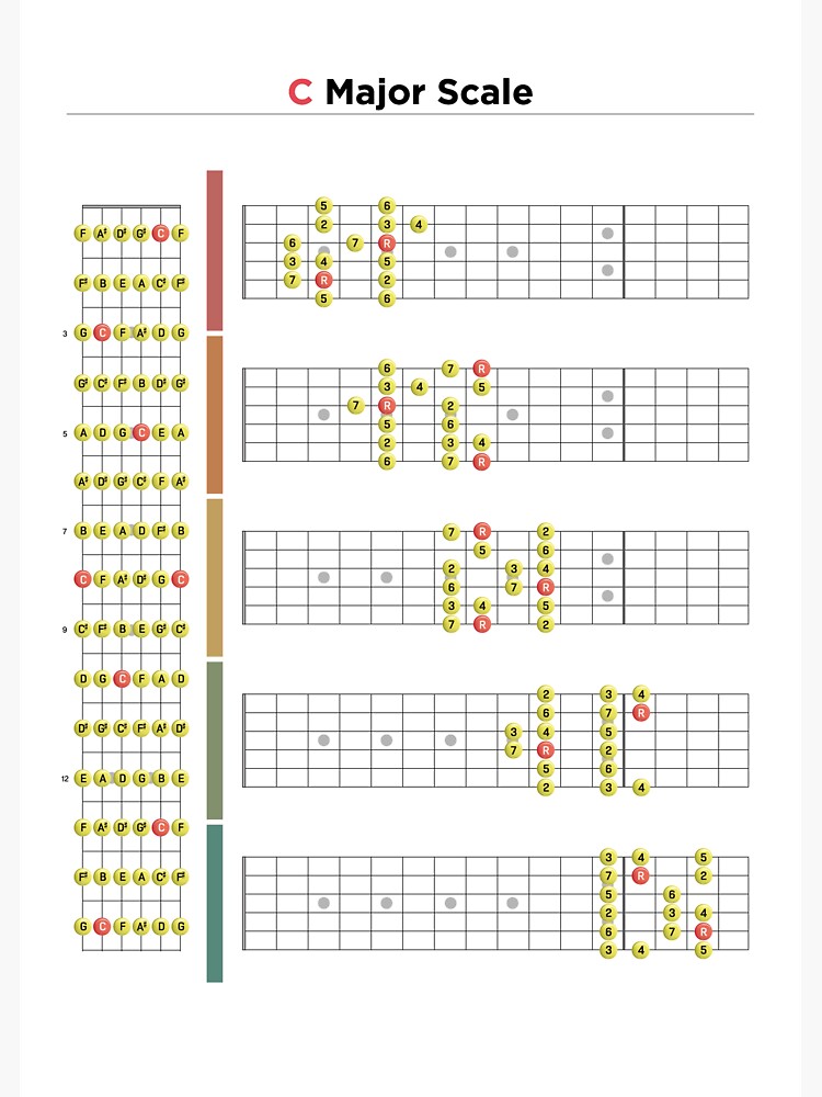 "Guitar scale, C Major scale, Fretboard Notes, Printable Art " Sticker ...