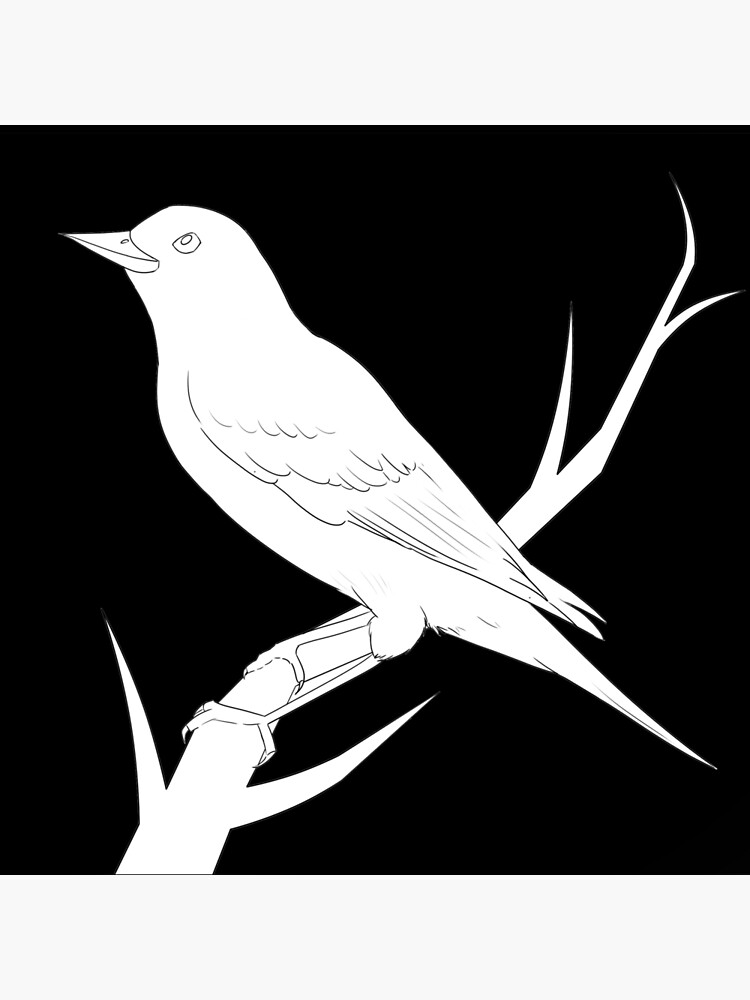 "colorless pretty bird" Poster for Sale by bunnyEmanArt | Redbubble