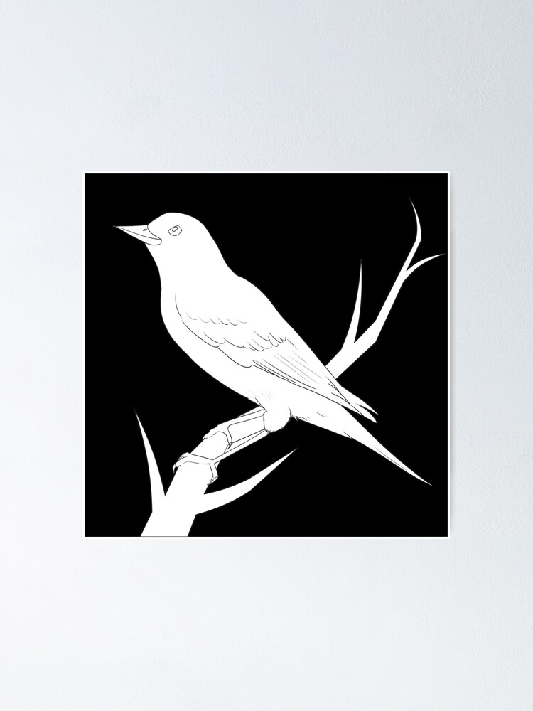 "colorless pretty bird" Poster for Sale by bunnyEmanArt | Redbubble