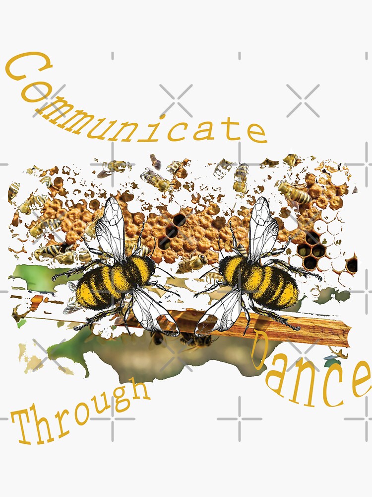 "Bees communicate through dance" Sticker for Sale by zakkaaas | Redbubble