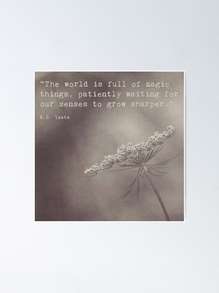 "The World is Full of Magic Things" Poster by marenmisner | Redbubble