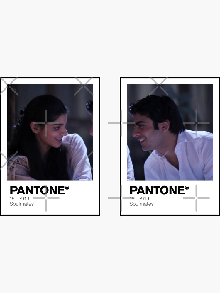 "Kashaf and Zaroon Pantone " Sticker for Sale by BollywoodAI | Redbubble