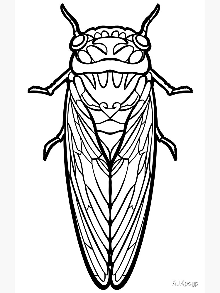 "Art Nouveau Cicada Black Outline Only" Poster for Sale by RJKpoyp ...
