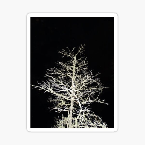 "white tree night sky" Sticker by norshorecustom | Redbubble