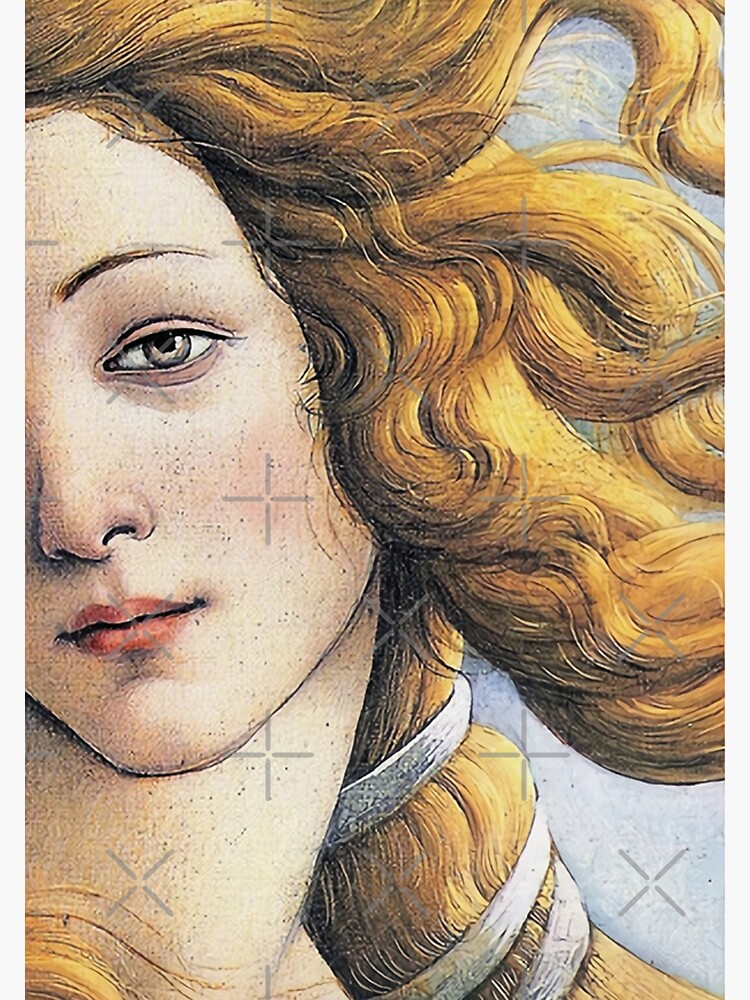 "Detail Botticelli Venus Art." Poster for Sale by Shirley-Luce | Redbubble