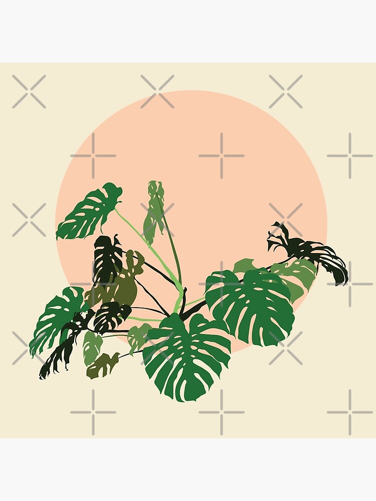 "Monstera Deliciosa " Throw Pillow for Sale by darzaga2 | Redbubble