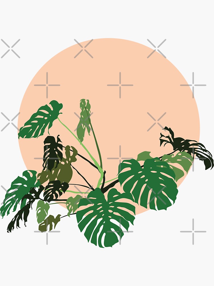 "Monstera Deliciosa " Sticker for Sale by darzaga2 | Redbubble