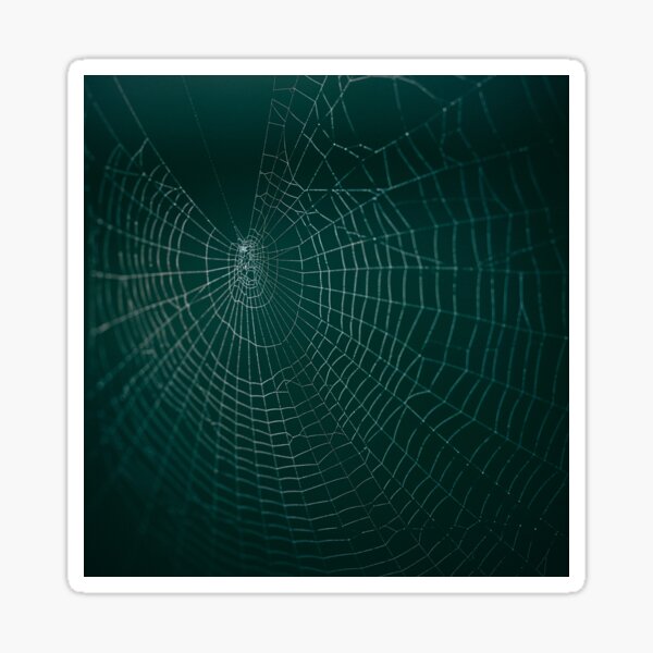 "Spider web design " Sticker for Sale by chopola-shop | Redbubble