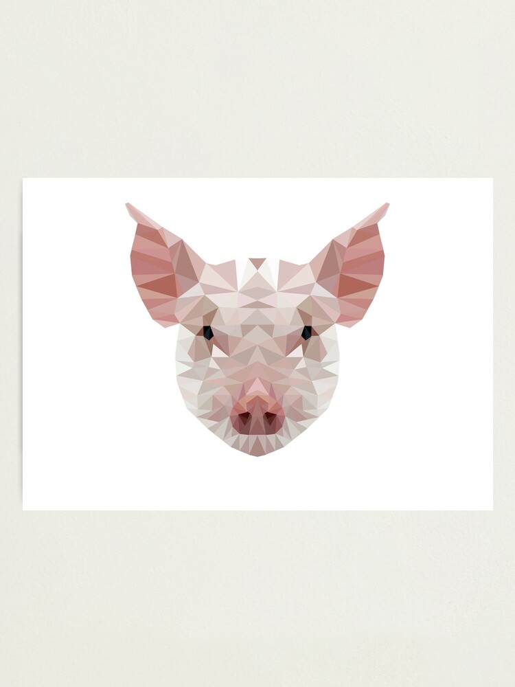 "GEOMETRIC LOWPOLY PIG" Photographic Print by LauraKawaii | Redbubble